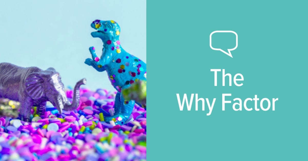 How differentiation affects your entire marketing • Bragg Media